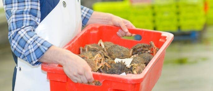 4 Common Kitchen Hazards - Safety Advice & Guidance