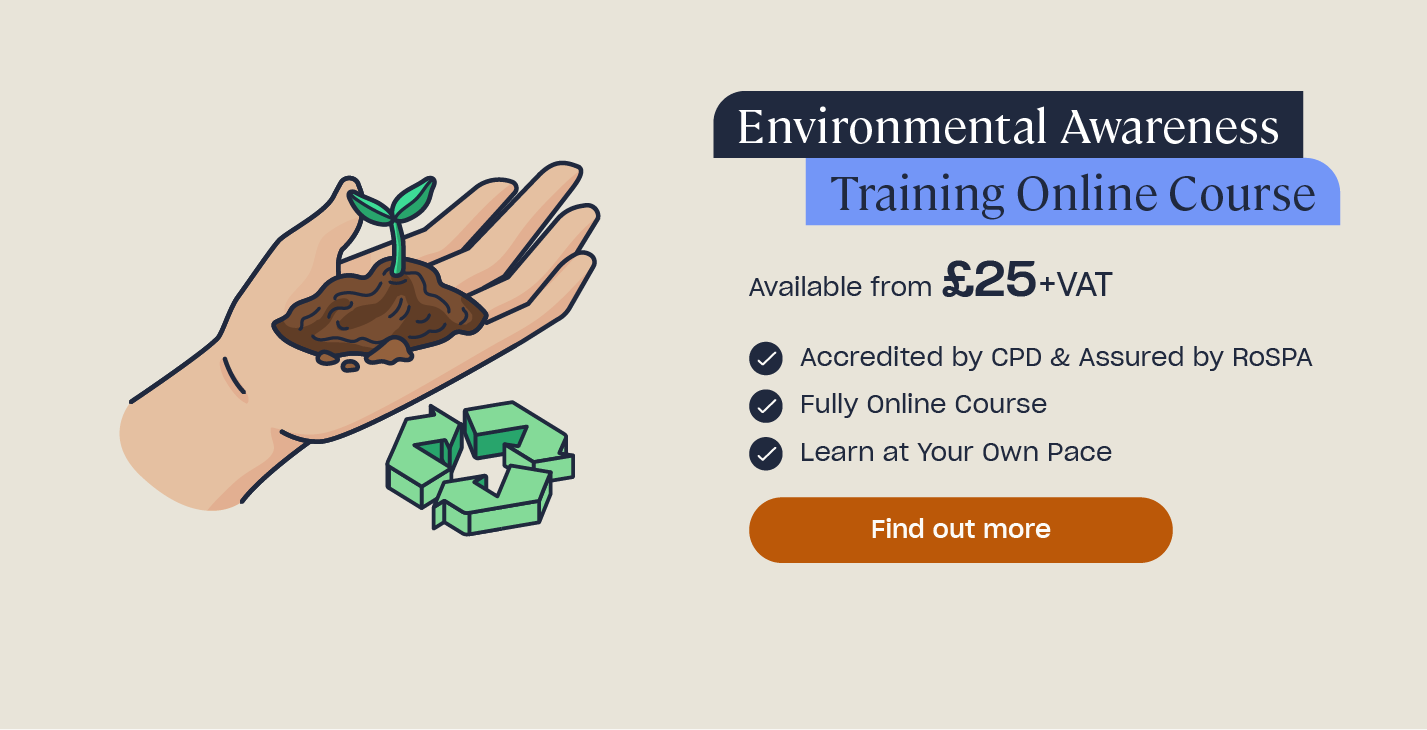 Environmental Awareness for Kids: Activities for Teachers