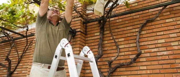 Ladder Safety Quiz Test Your Knowledge ladder-safety-quiz-test-your-knowledge