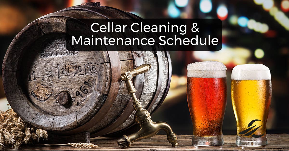 Cellar Cleaning Schedule | Essential Cellar Management Tips