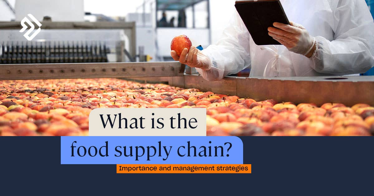 What is the Food Supply Chain? | Importance & Management