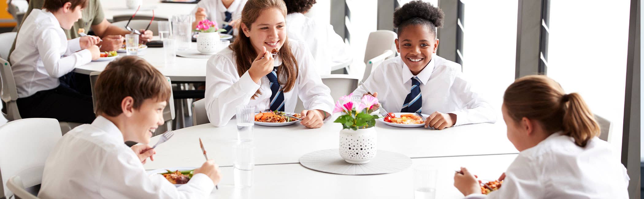 Food Waste in Schools | Causes & 10 Ways to Reduce Waste