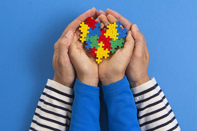 LMS & Login | High Speed Training